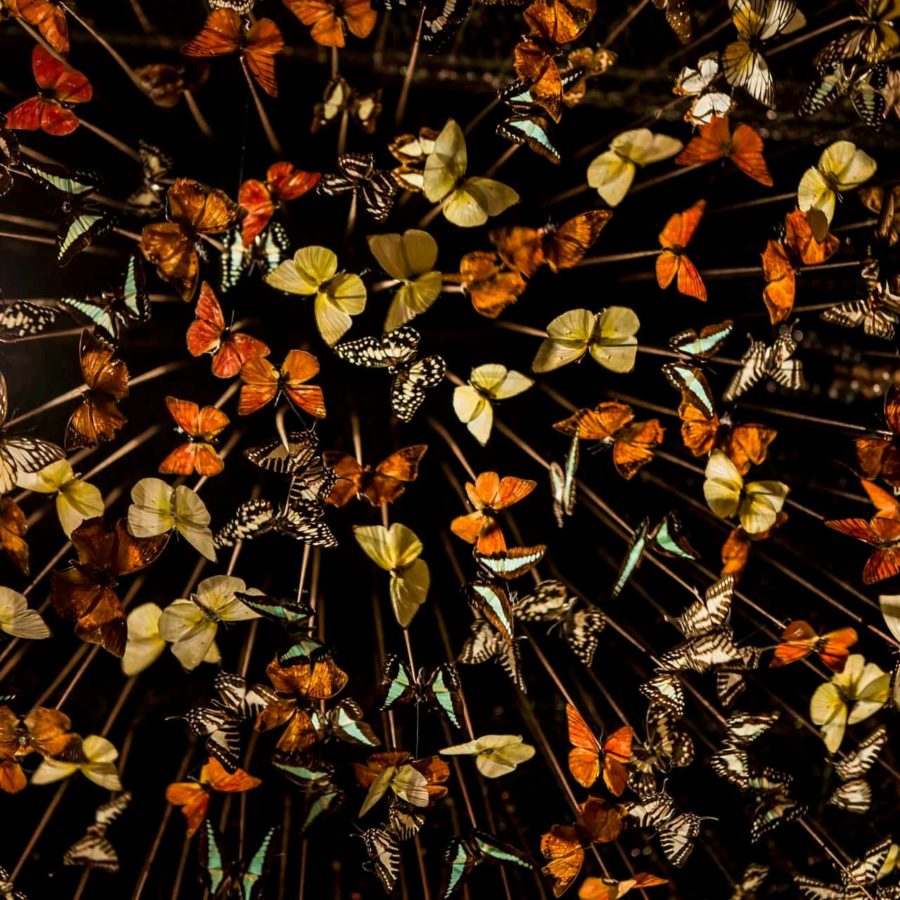 Iron Fairies - Ashley Sutton Design