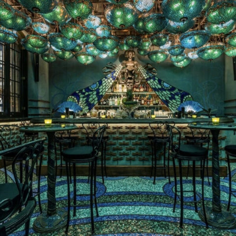 Dragonfly Hong Kong - Ashley Sutton Design